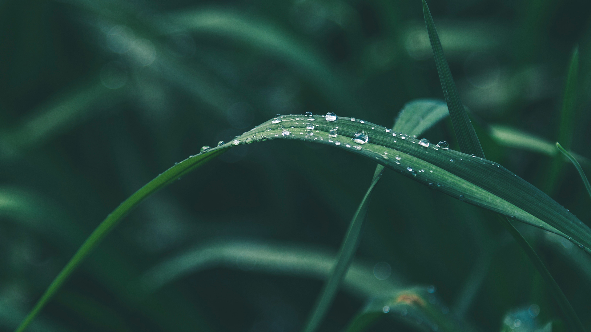 ¿Qué es la transformación y cómo vivir la transformación?